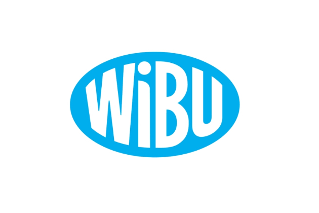Die strategische Neuausrichtung von WiBu in China: Von der indirekten ...